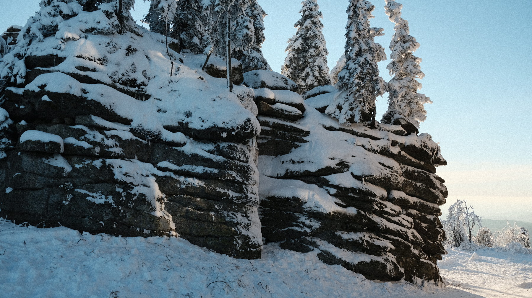 ArtStation - Destroyed Winter Forest | Resources
