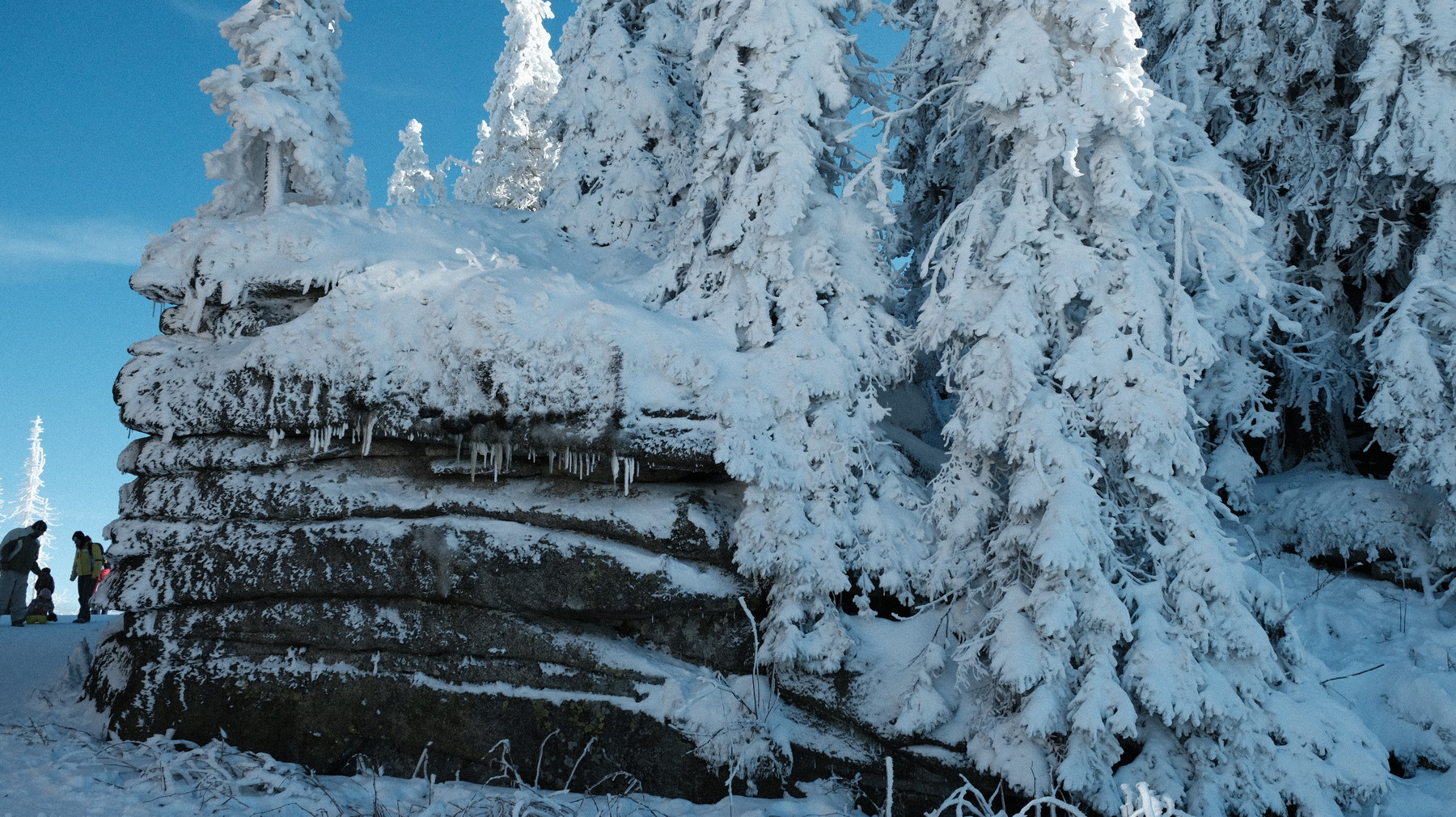 ArtStation - Destroyed Winter Forest | Resources