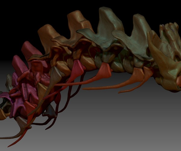 ArtStation - Spinosaurus Neck Skeletons Set | Game Assets