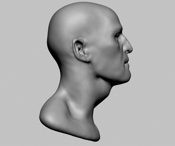 ArtStation - Base Male Head 02 | Resources