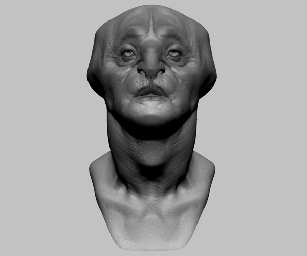 ArtStation - Fantasy Creature Head 03 | Resources