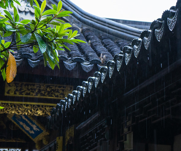 ArtStation - Chinese Garden - Shi Zi Lin | 狮子林 | Resources