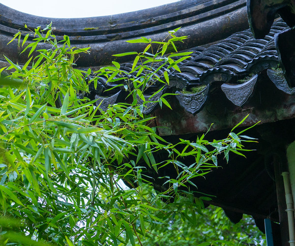 ArtStation - Chinese Garden - Shi Zi Lin | 狮子林 | Resources