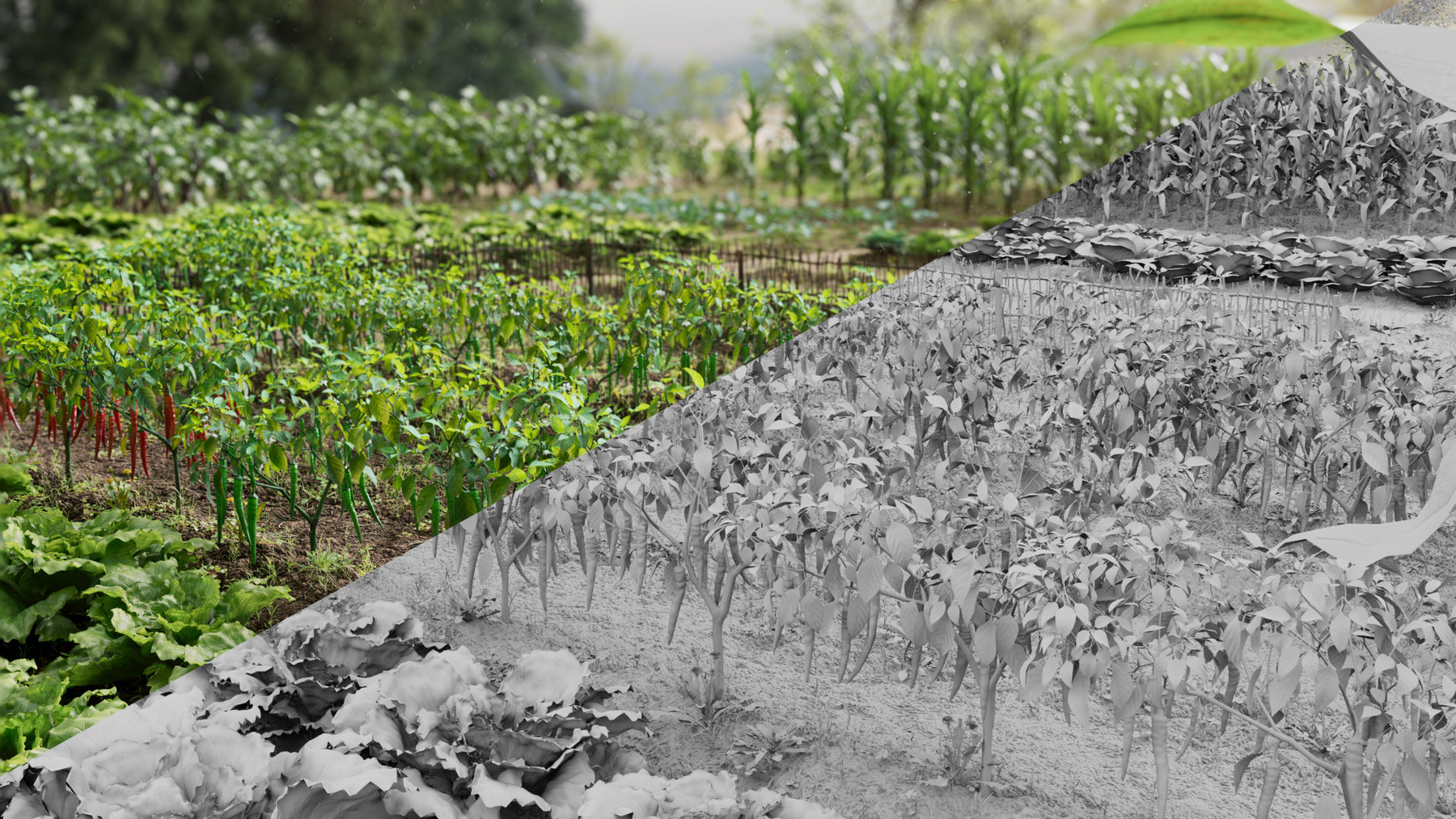 ArtStation - 3D Chilli Collection vol02 | Resources