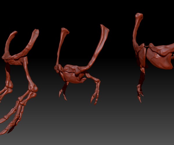 ArtStation - Dinosaur Spinosaurus - Tyrannosaurus - Giganotosaurus Arm ...