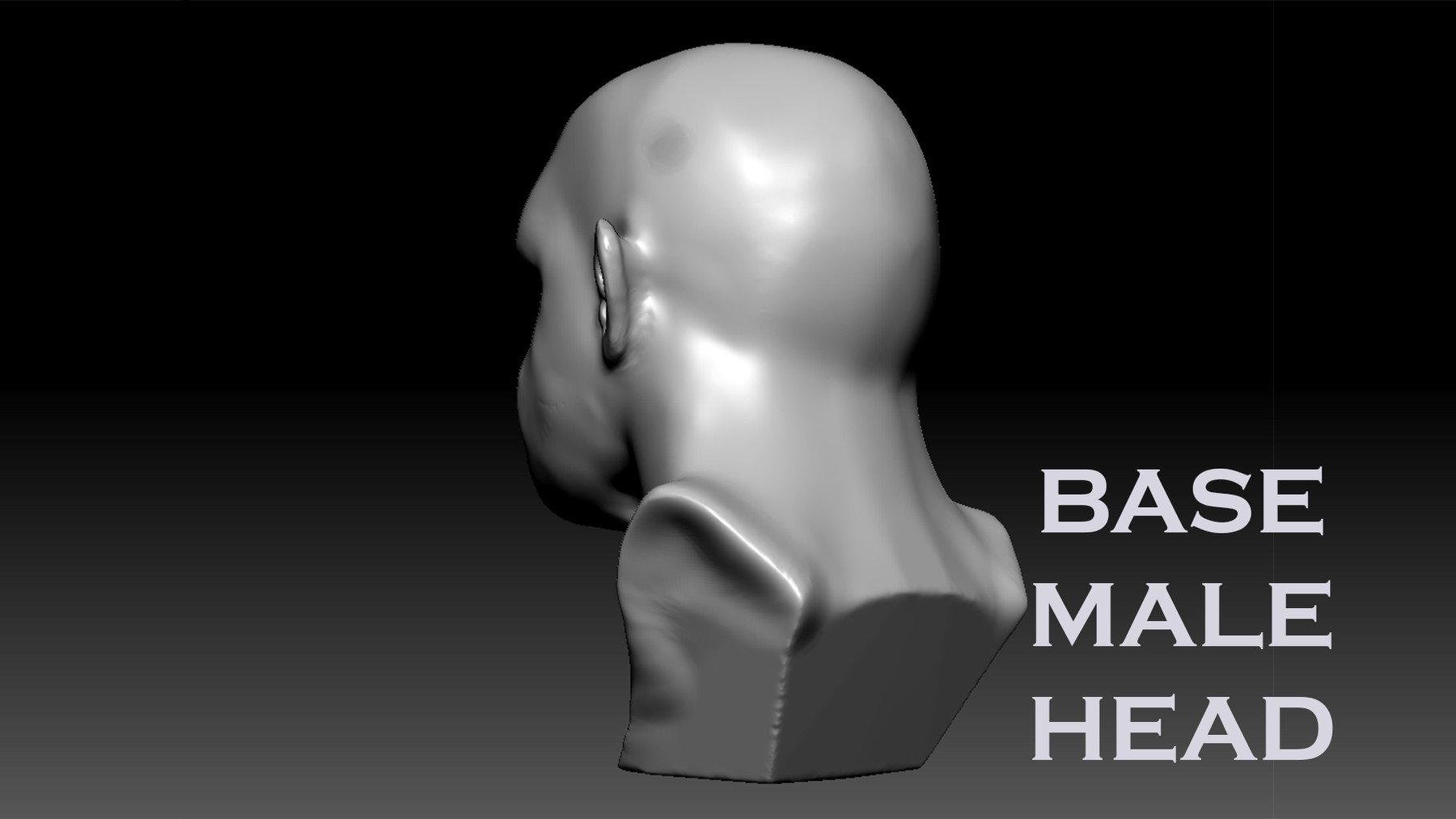 ArtStation - Base Male Head (ZTL, OBJ) | Resources