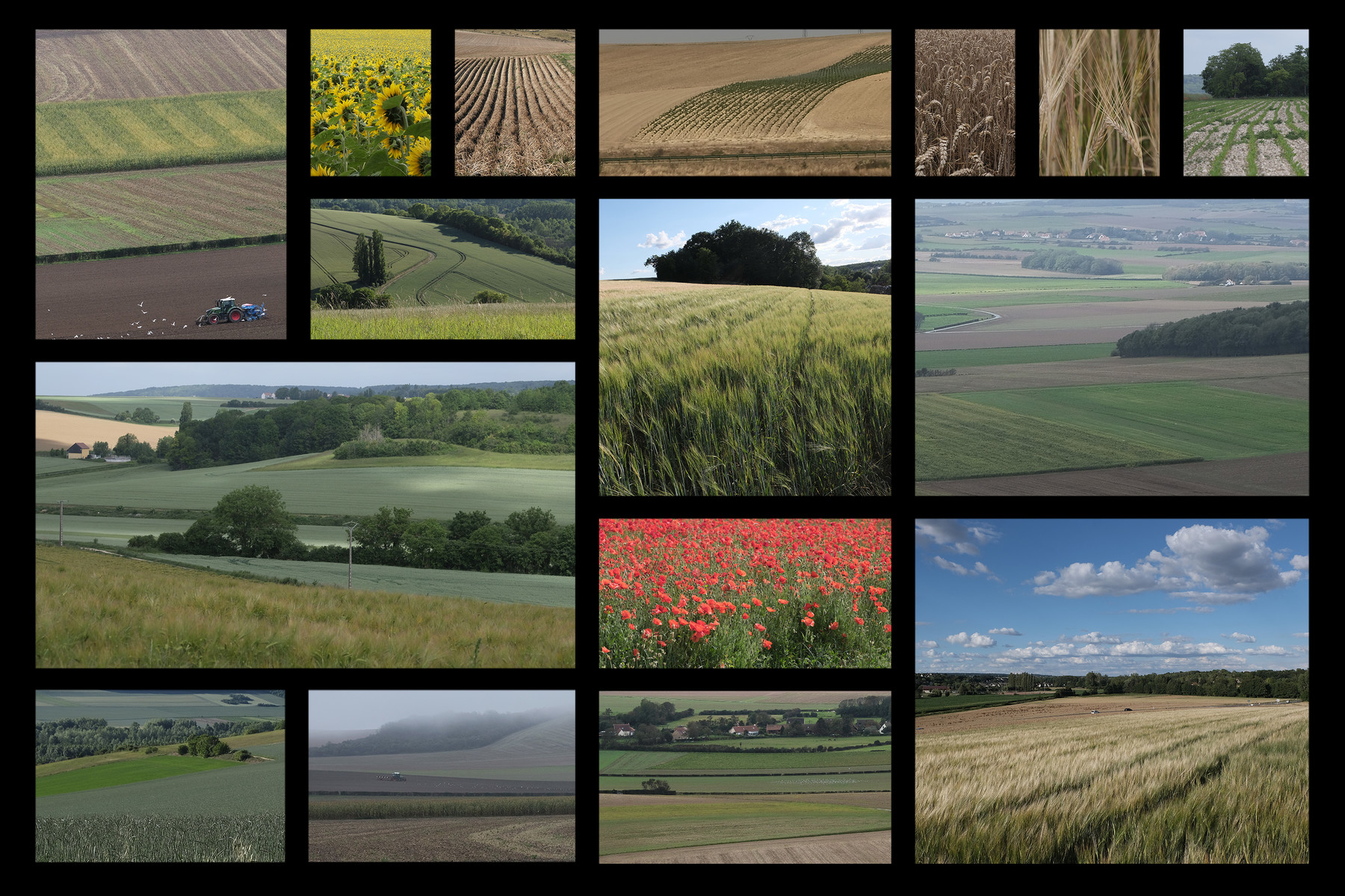 ArtStation - Fields | Resources