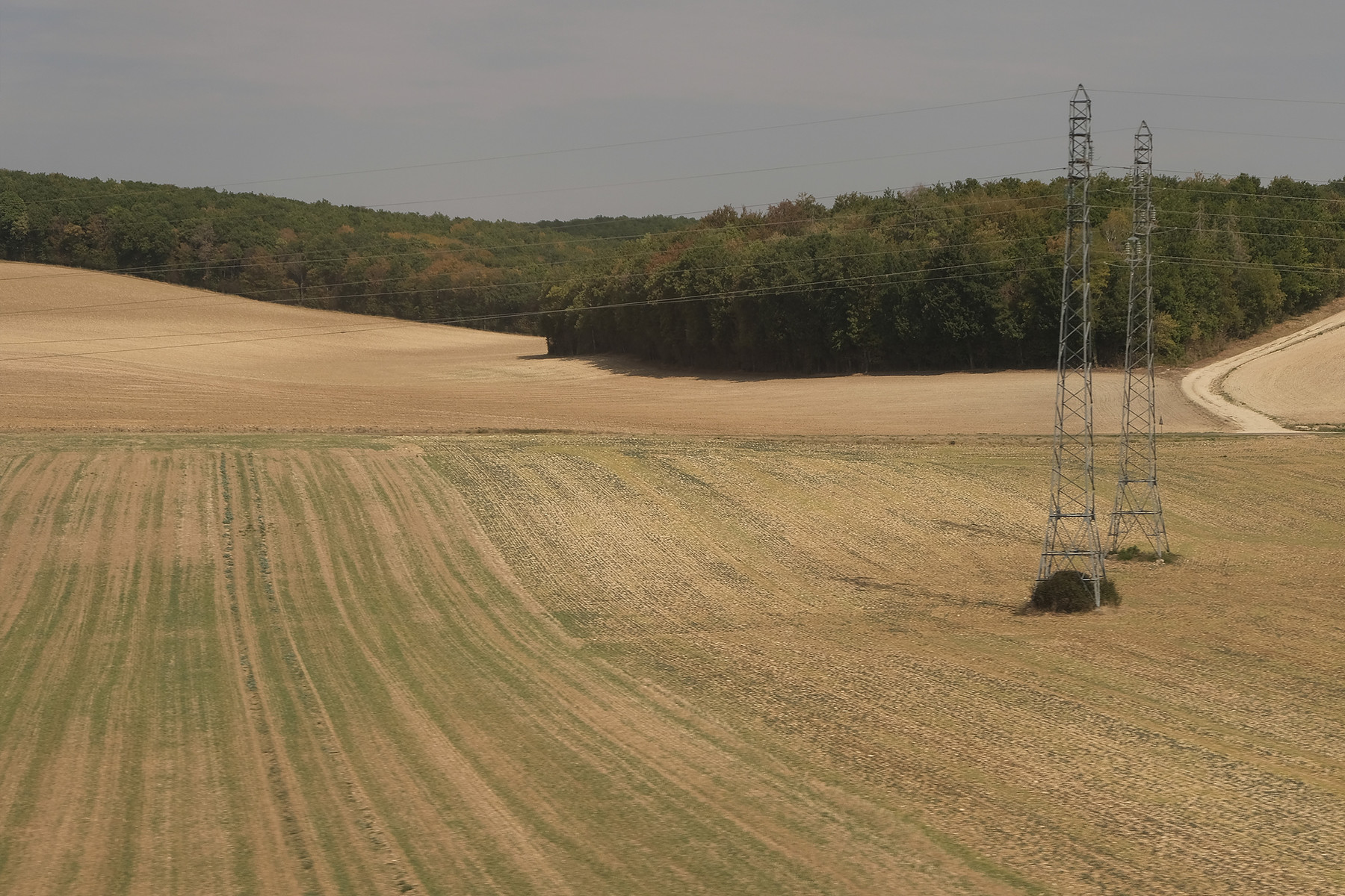 ArtStation - Fields | Resources