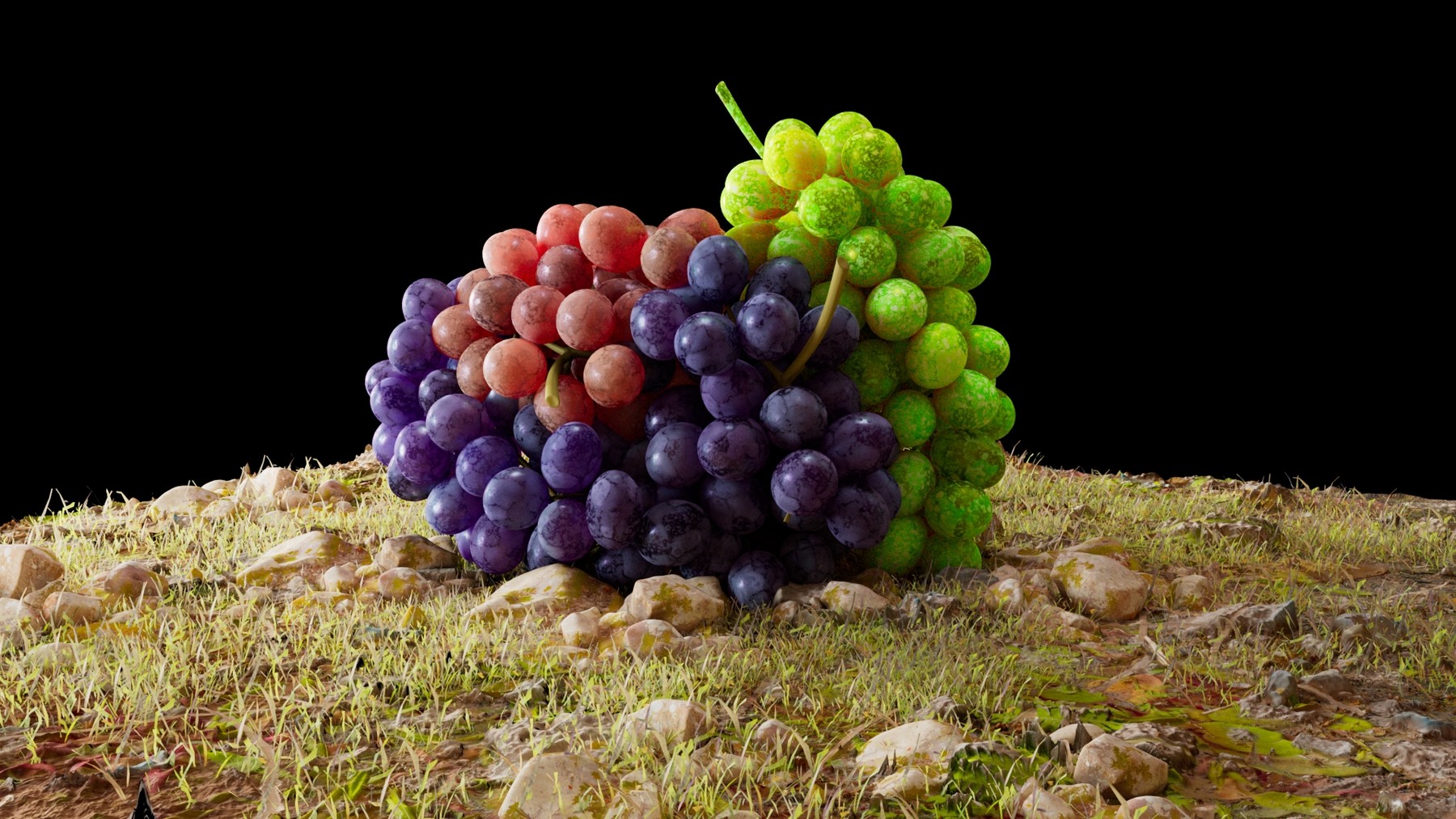 ArtStation - GRAPE SHADER for RENDERMAN FOR MAYA | Resources