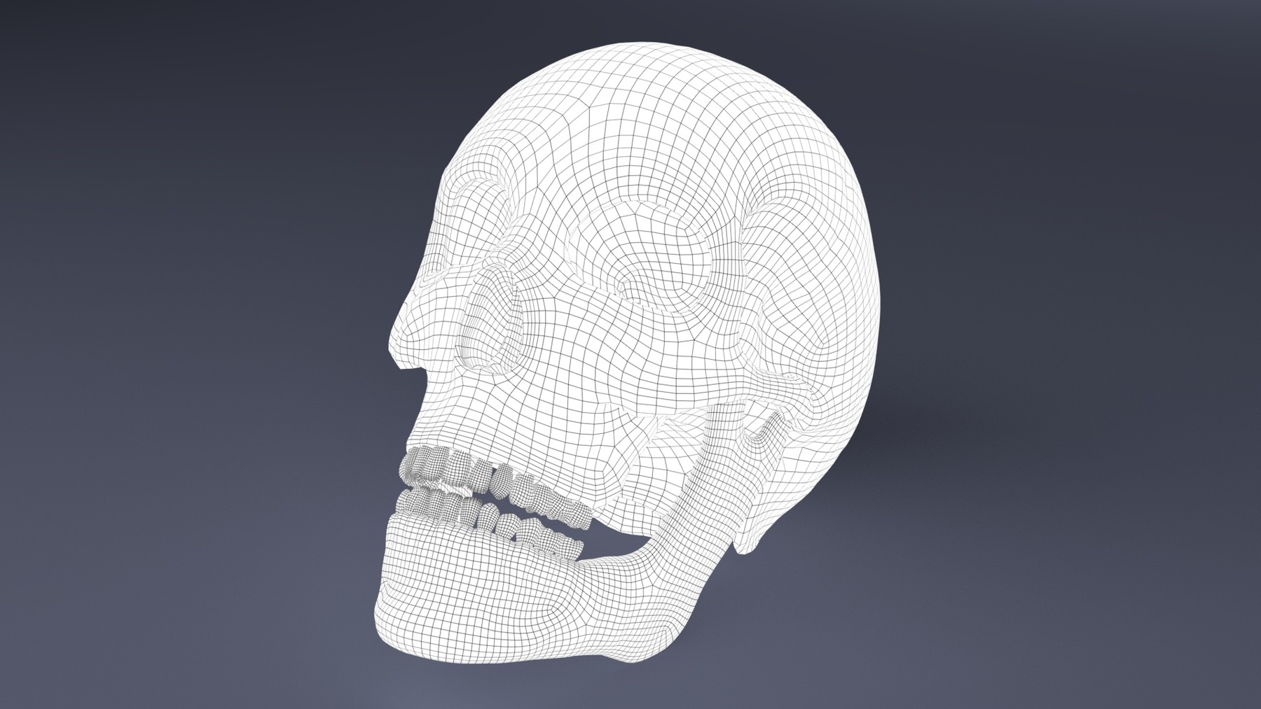 ArtStation - Human Skull | Resources