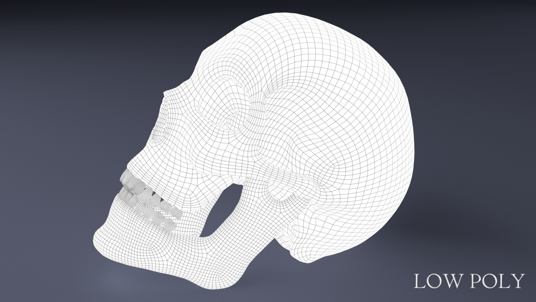 ArtStation - Human Skull | Resources
