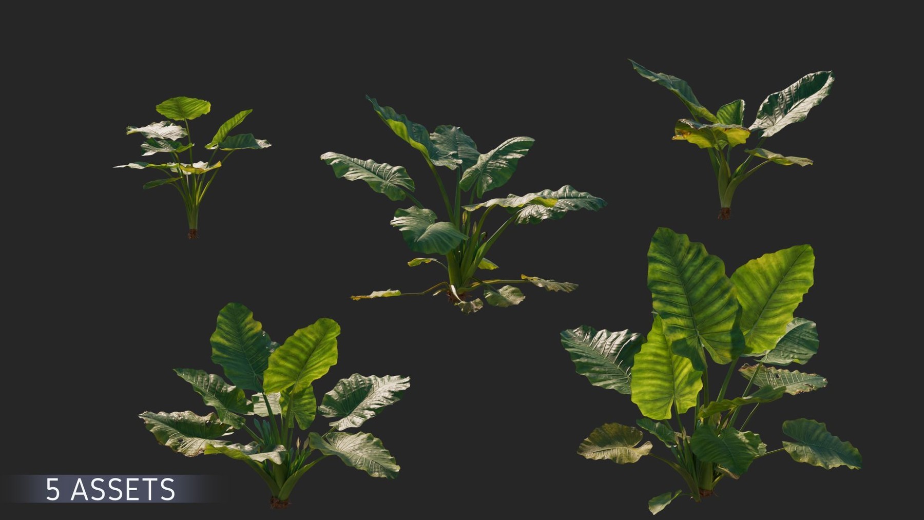 ArtStation - 3D Taro Collection | Resources