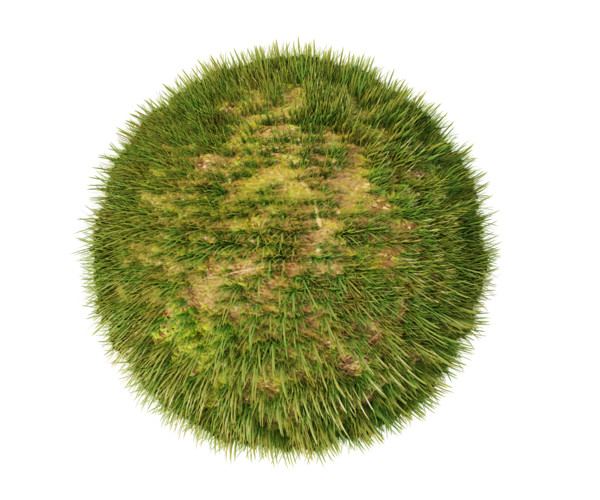 ArtStation - 4k Grass Cycles And EEVEE [3d Grass Asset] | Game Assets