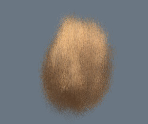 Artstation Aaron Blaise´s Hair Fur Brushes Set 5 For Csp Brushes