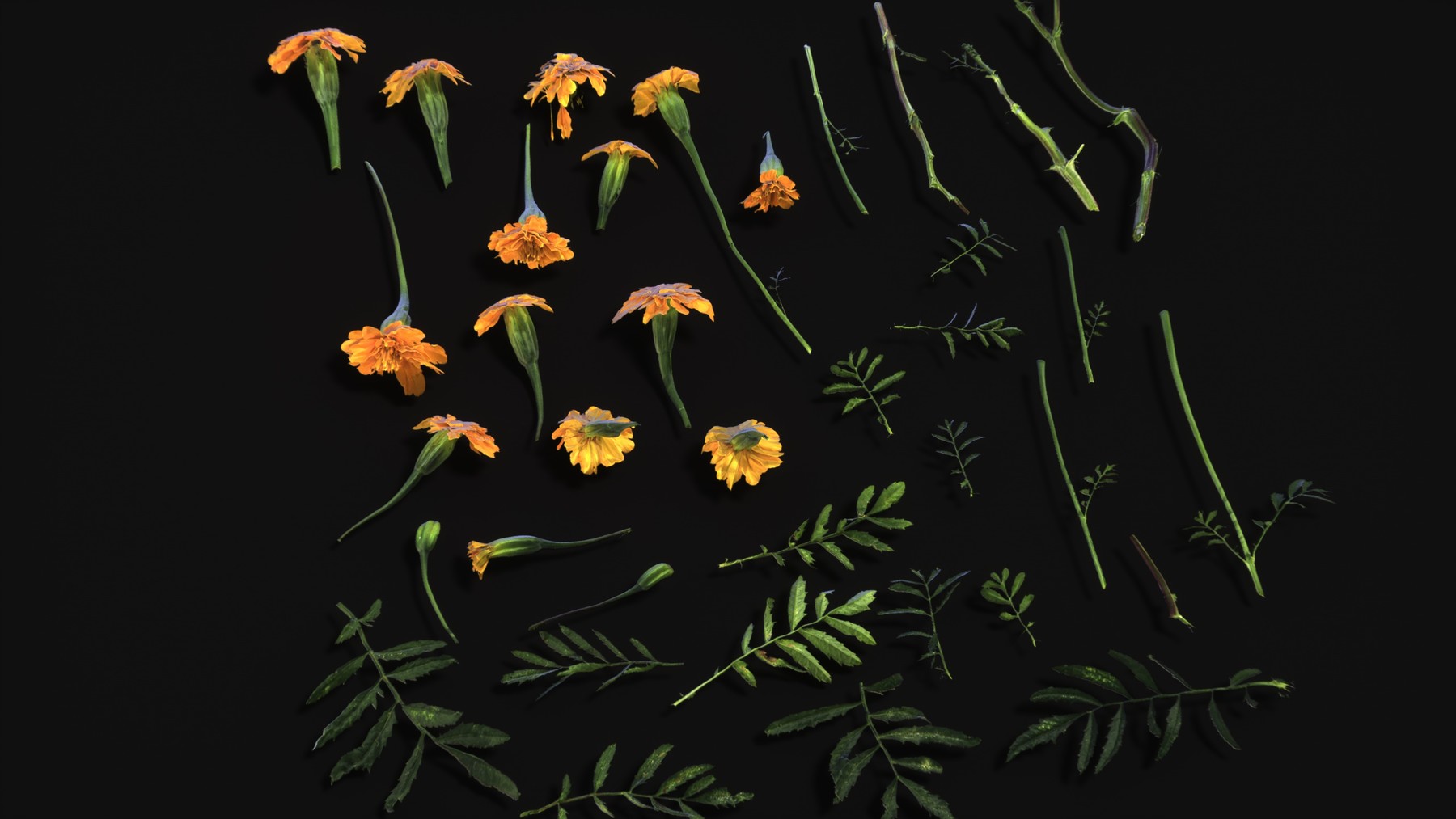 ArtStation - Free atlas textures | Photogrammetry | 32 .tif`s | Game Assets