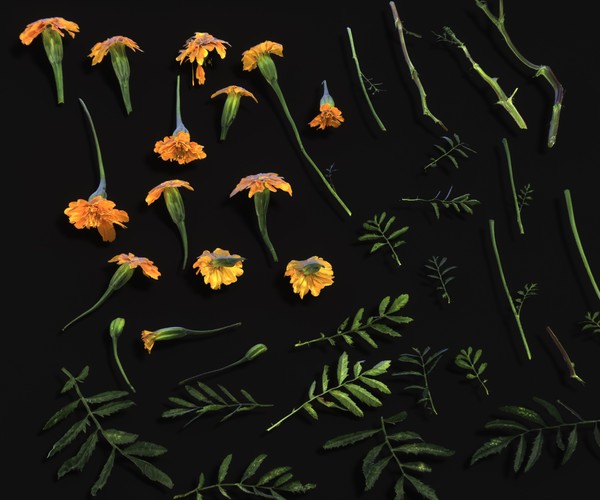 ArtStation - Free atlas textures | Photogrammetry | 32 .tif`s | Game Assets