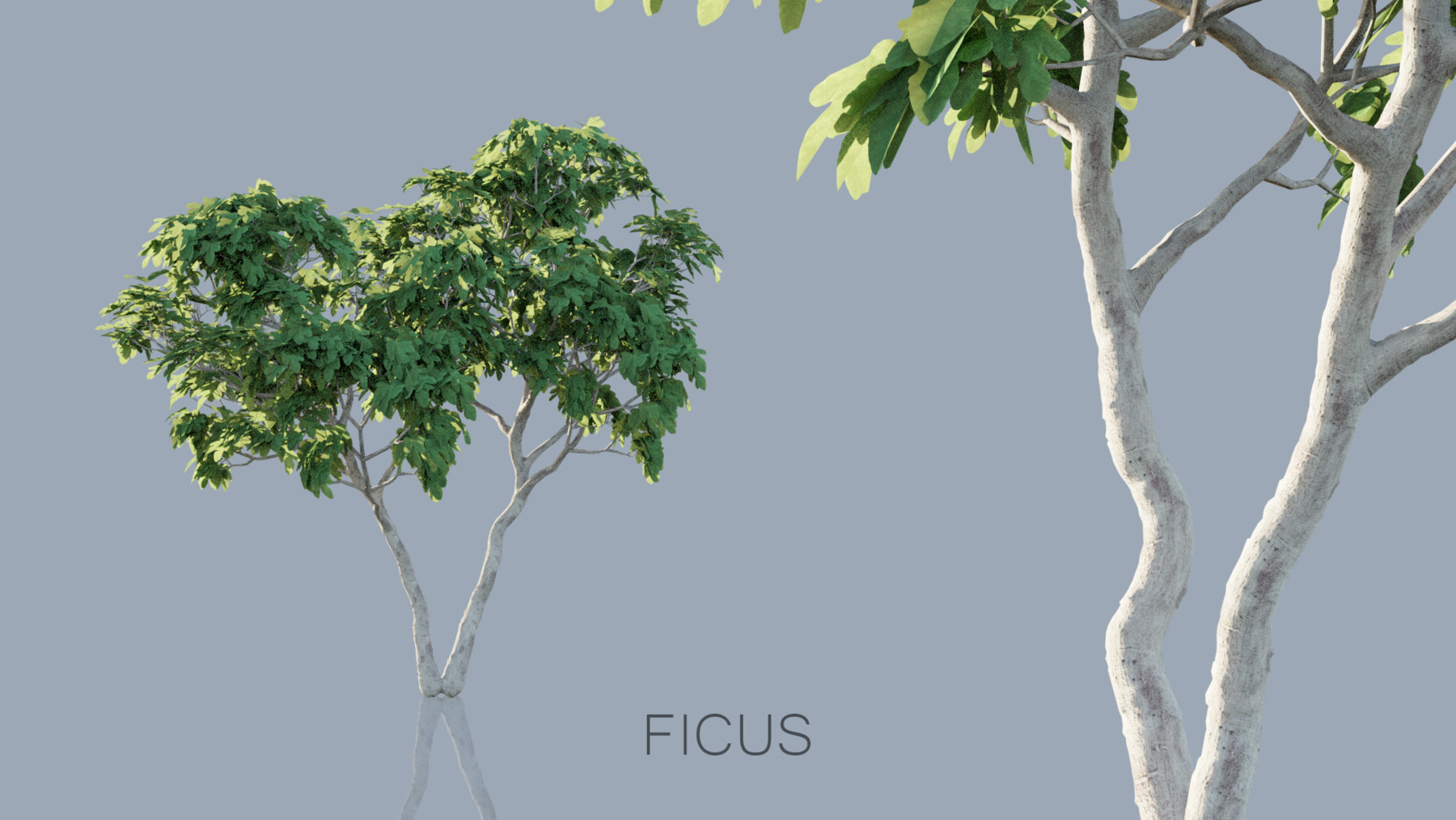 ArtStation - Real Trees Pack | Game Assets