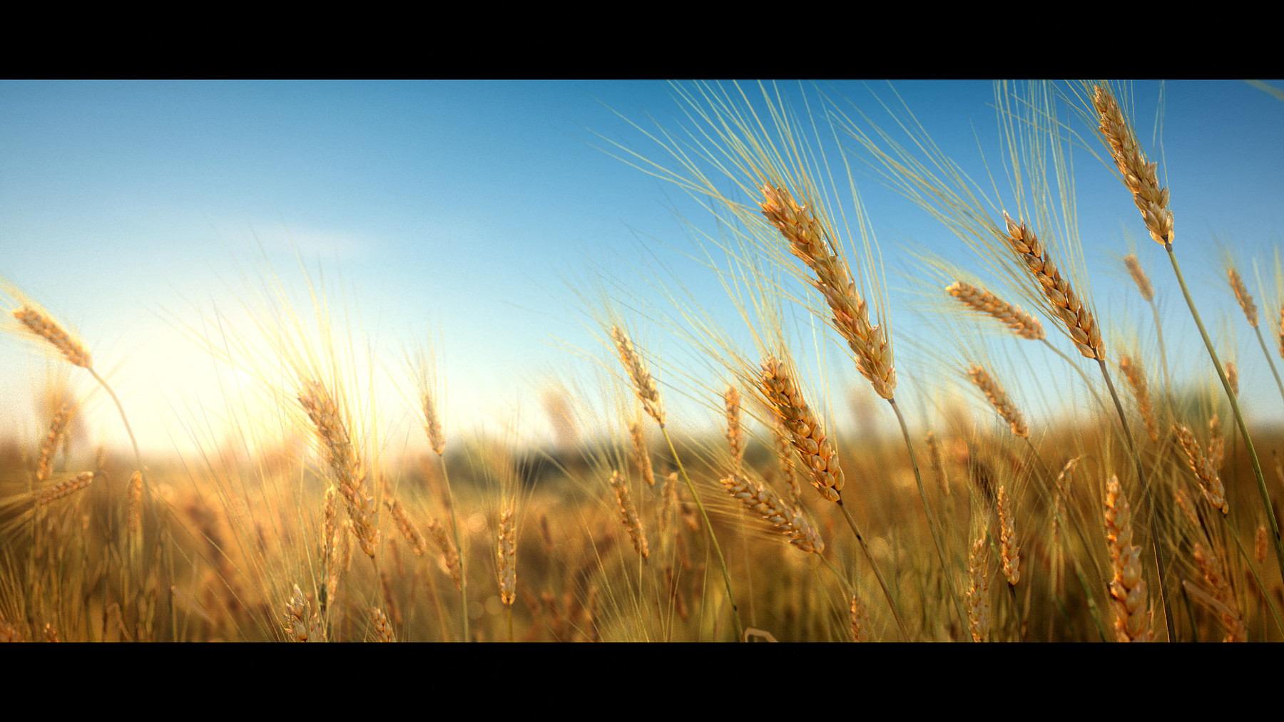 ArtStation - 3D Barley Collection vol02 | Resources