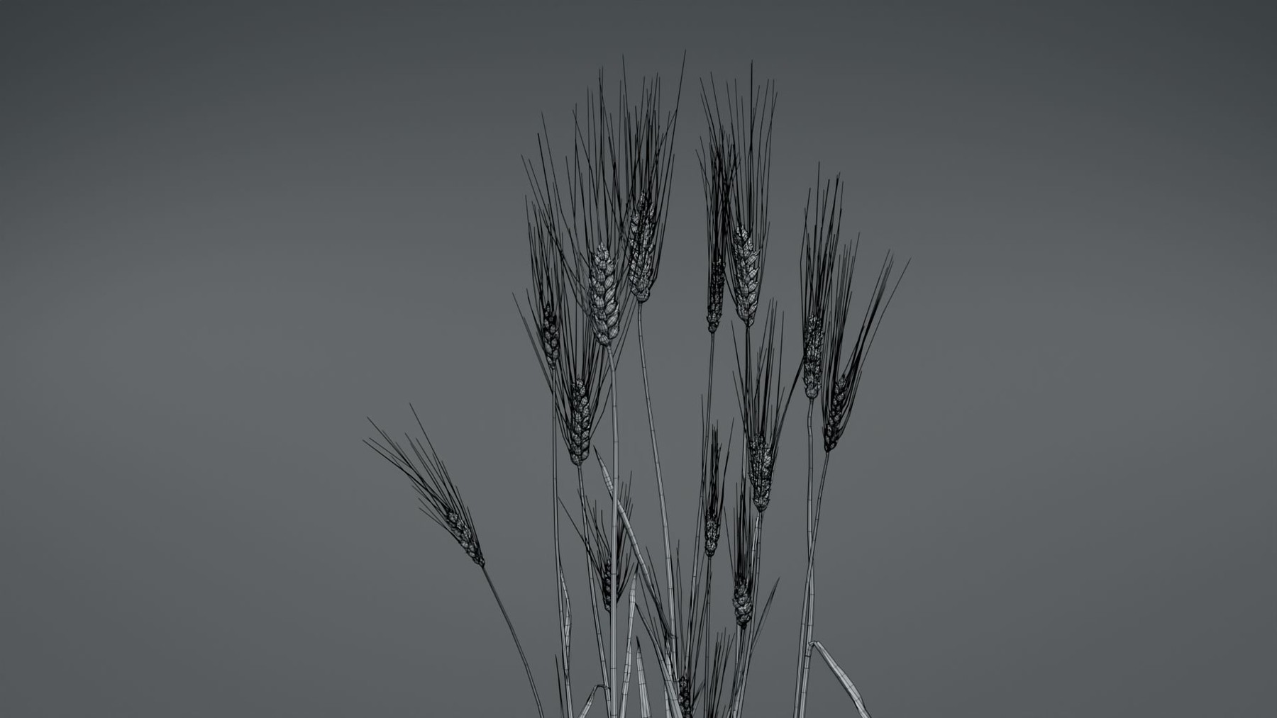 ArtStation - 3D Barley Collection vol02 | Resources