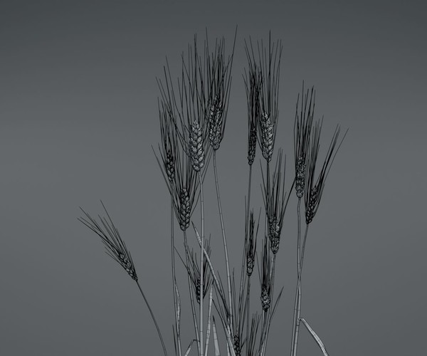 ArtStation - 3D Barley Collection vol02 | Resources
