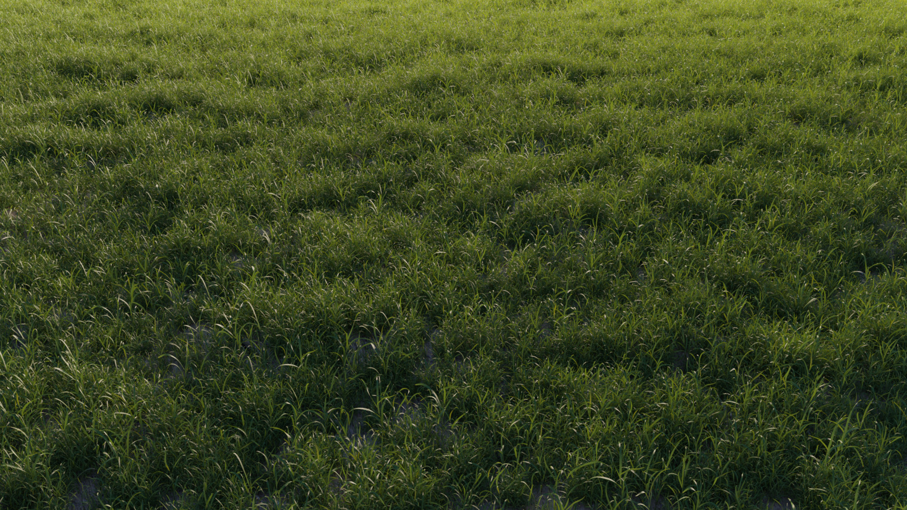 ArtStation - 3D Grass Collection vol01 | Resources