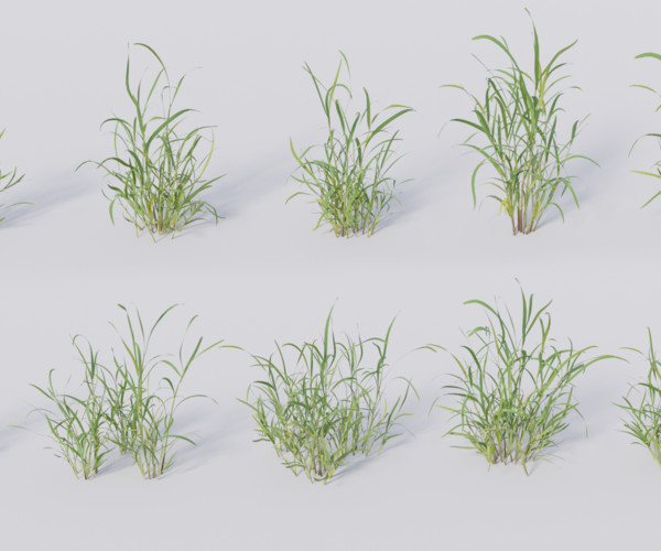 ArtStation - 3D Grass Collection vol01 | Resources