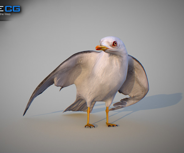ArtStation - Animated Seagull | Game Assets