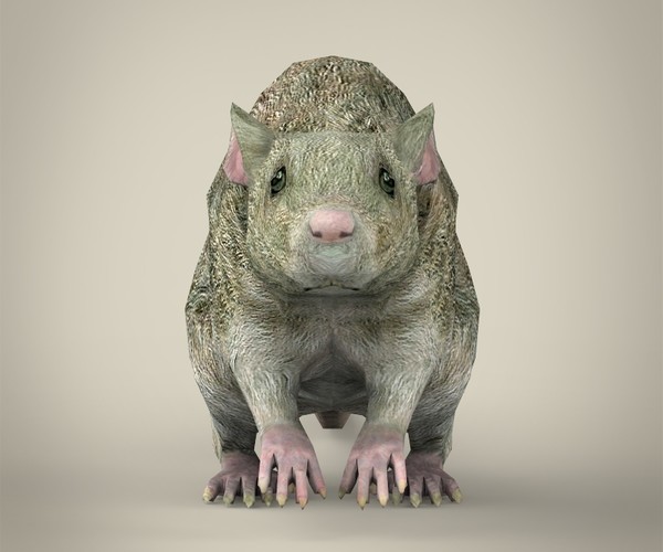 ArtStation - Low Poly Rat 3D Model | Game Assets