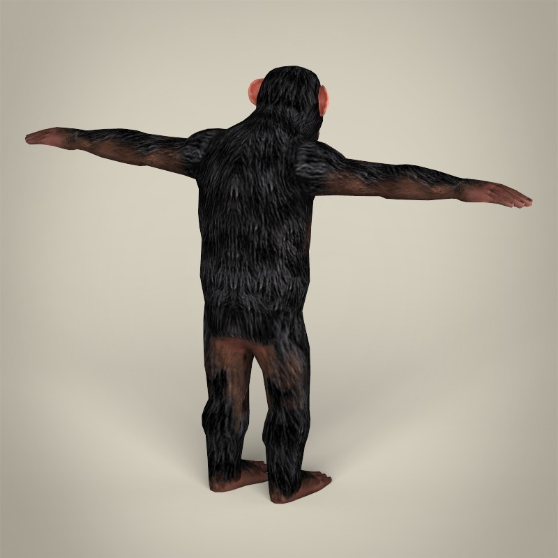 ArtStation - Low Poly Chimpanzee 3D Model | Game Assets