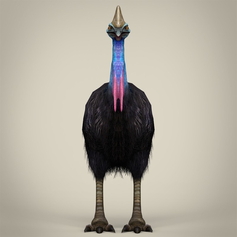 ArtStation - Low Poly Cassowary 3D Model | Game Assets