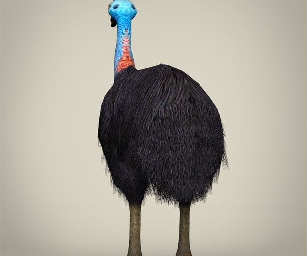 ArtStation - Low Poly Cassowary 3D Model | Game Assets