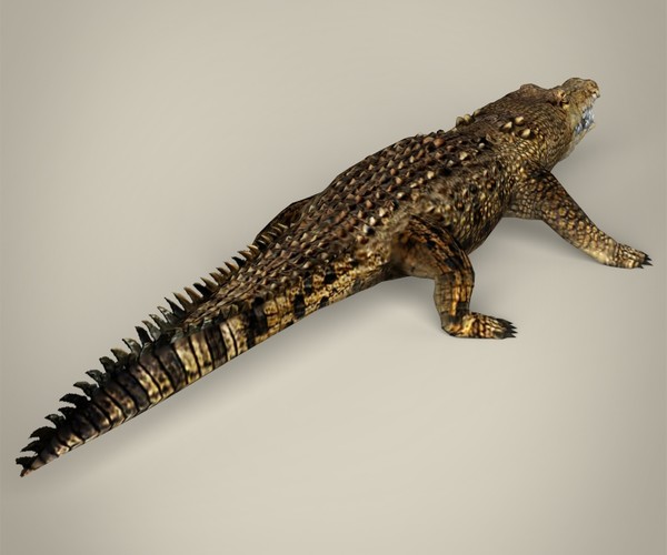 ArtStation - Low Poly Crocodile 3D Model | Game Assets
