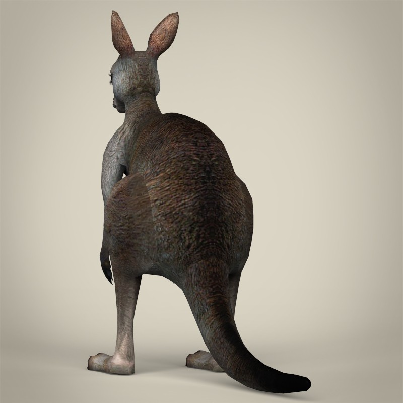 ArtStation - Low Poly Kangaroo 3D Model | Game Assets