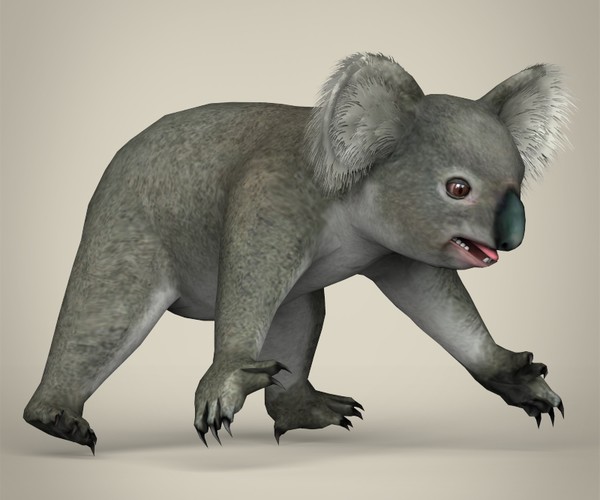 ArtStation - Low Poly Koala 3D Model | Game Assets