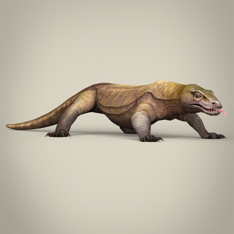ArtStation - Low Poly Komodo Dragon 3D Model | Game Assets