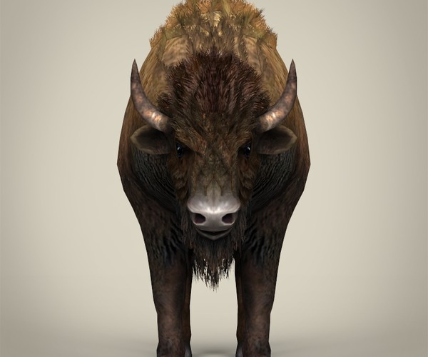 ArtStation - Low Poly Montana Buffalo 3D Model | Game Assets