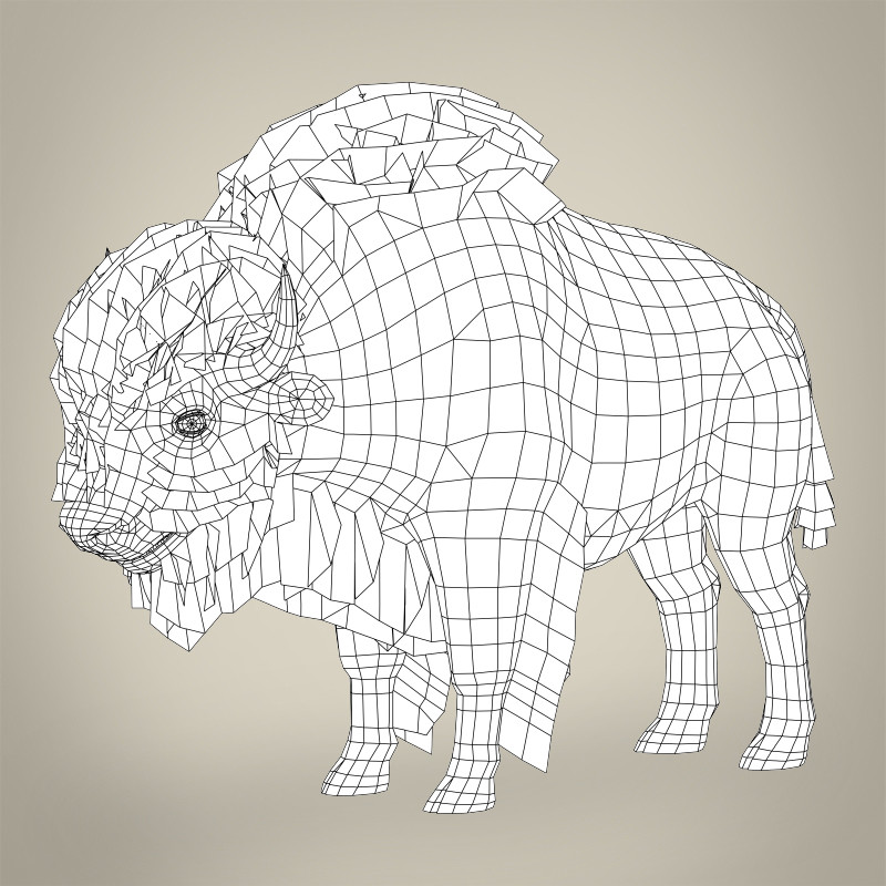 ArtStation - Low Poly Montana Buffalo 3D Model | Game Assets
