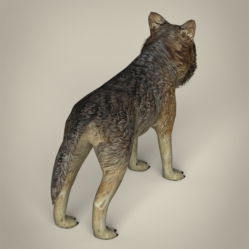ArtStation - Low Poly Wolf 3D Model | Game Assets