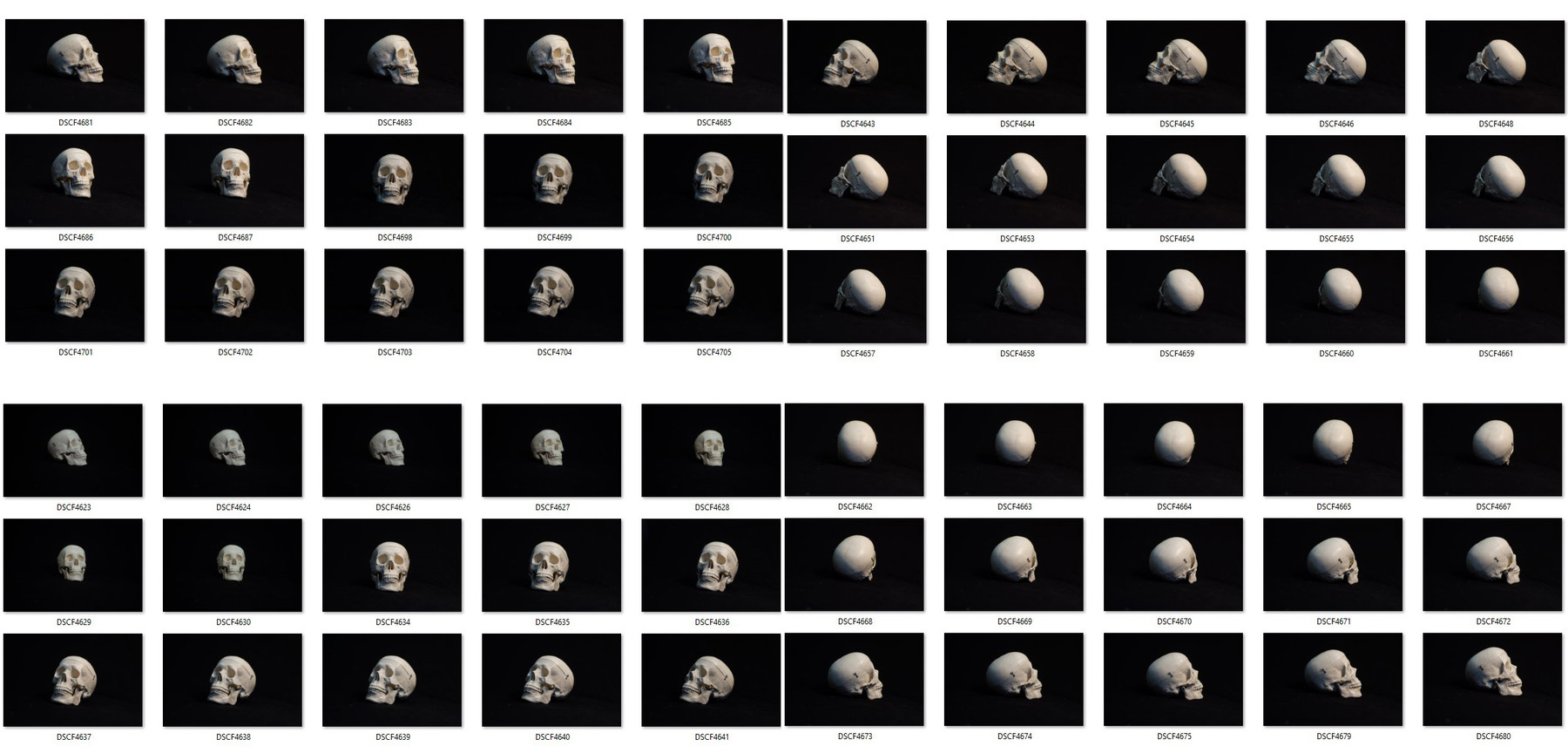 ArtStation - Human skull - Reference pack | Resources