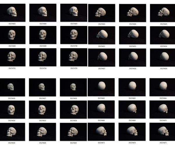 ArtStation - Human skull - Reference pack | Resources