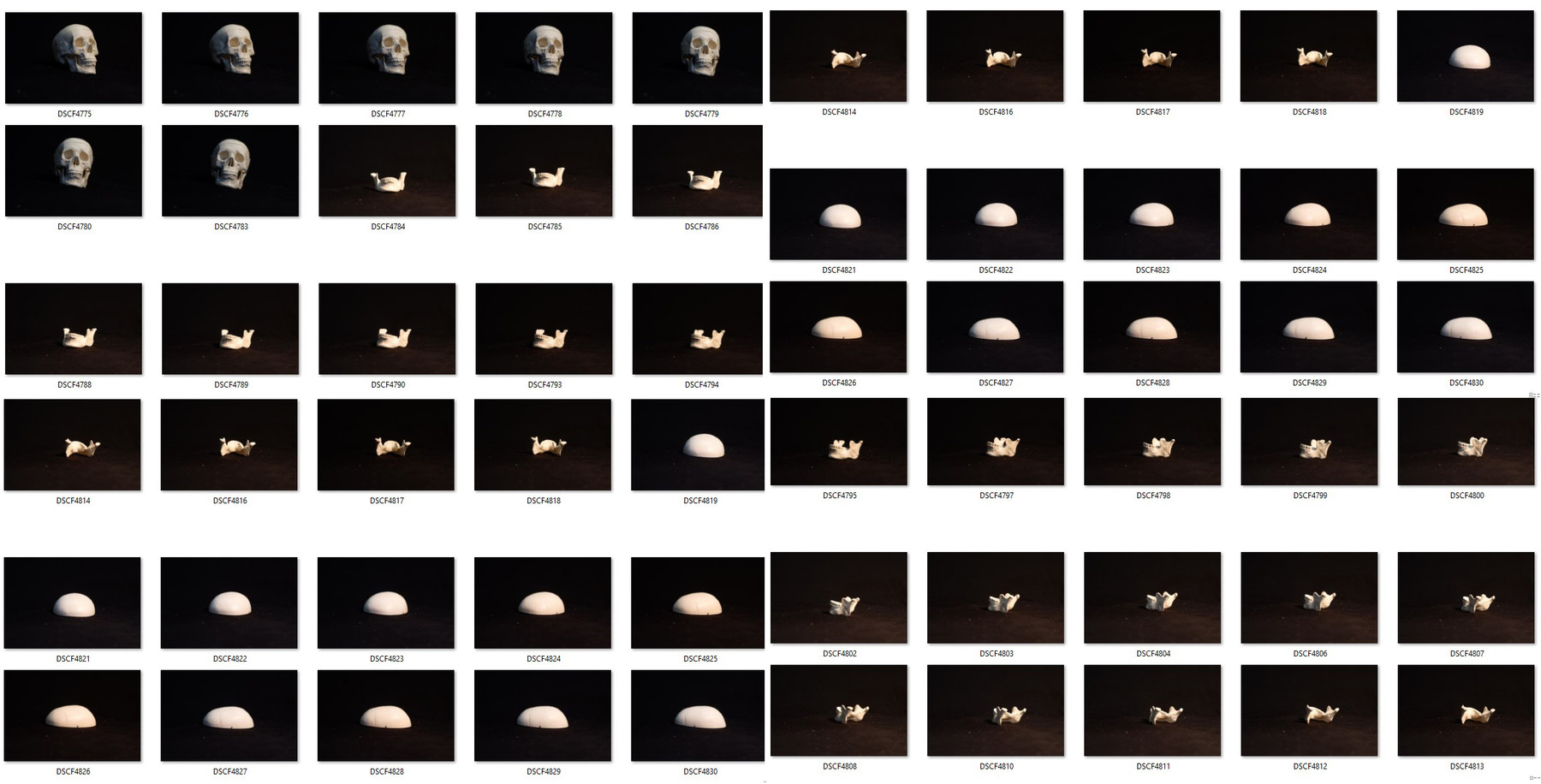 ArtStation - Human skull - Reference pack | Resources