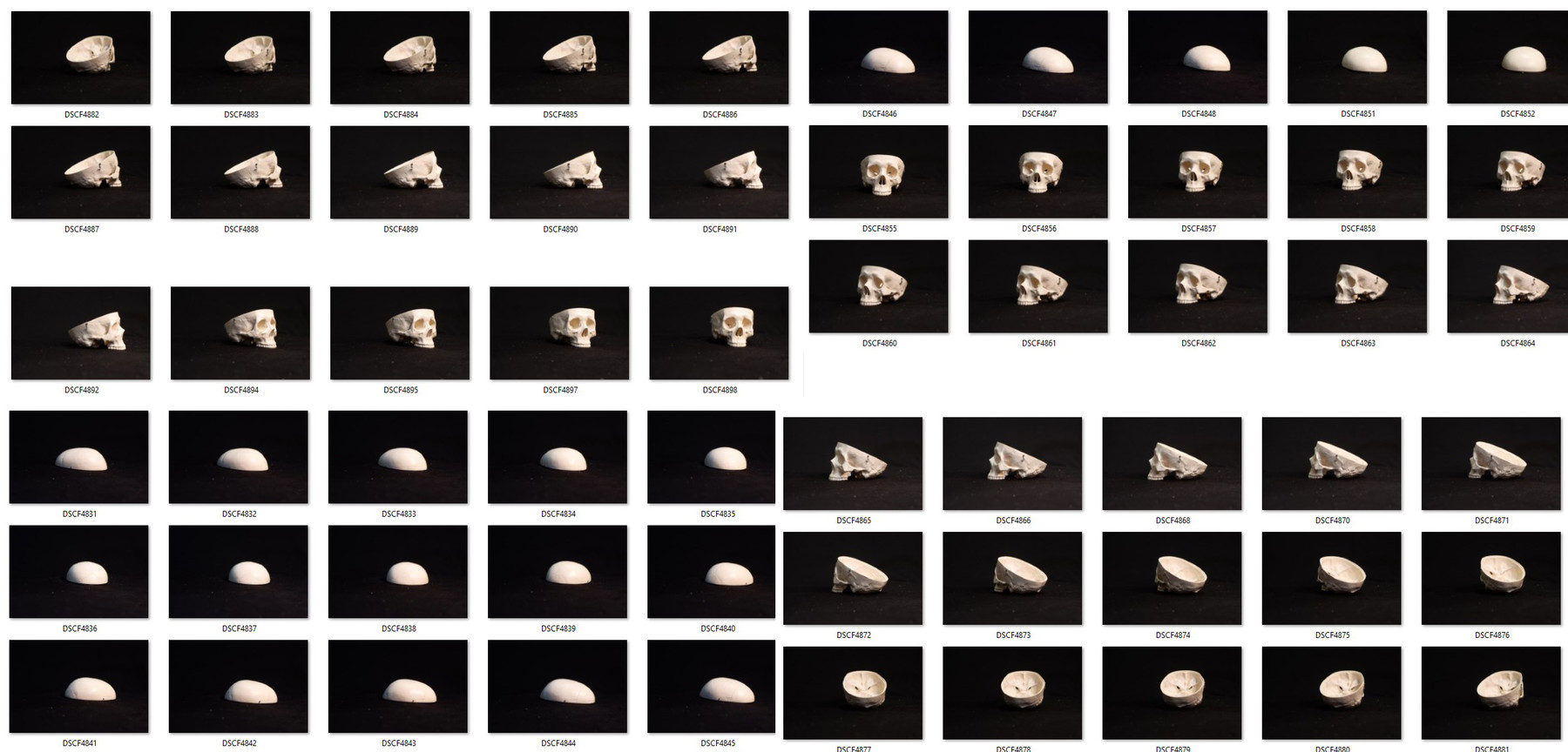 ArtStation - Human skull - Reference pack | Resources