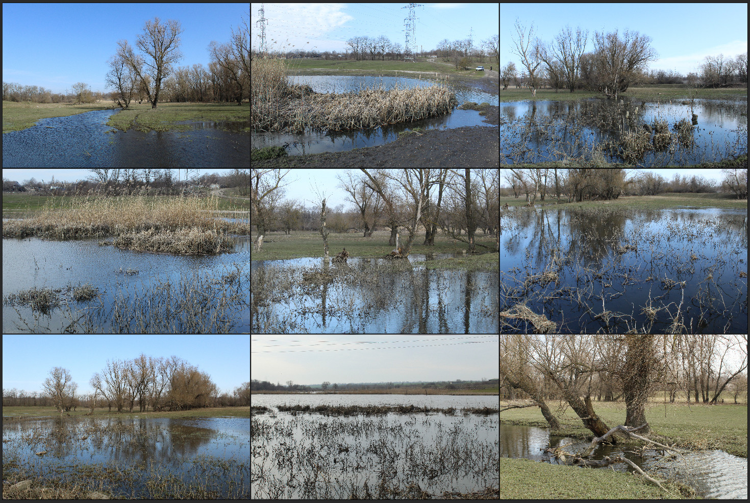 ArtStation - Water landscape Pack 2 | Resources