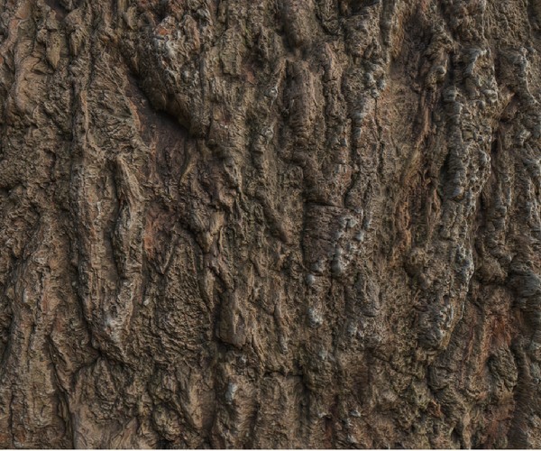 ArtStation - Tree Bark Materials | Resources