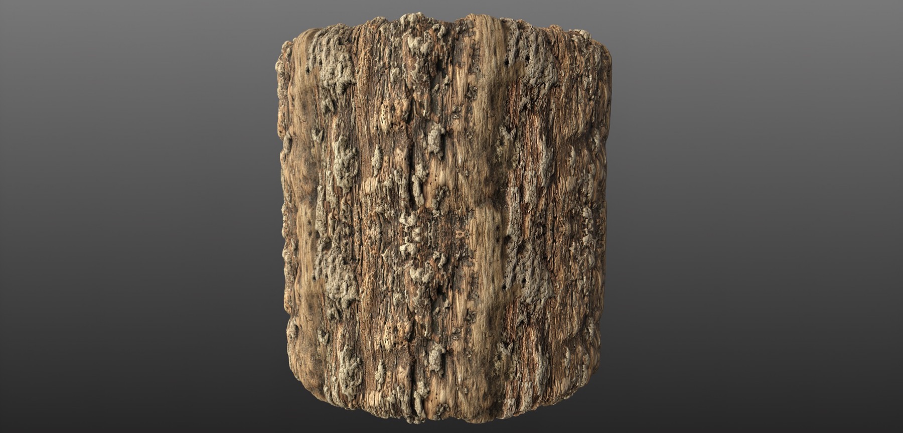 ArtStation - Tree Bark Materials | Resources