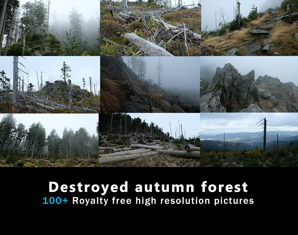 ArtStation - Destroyed autumn forest | Resources