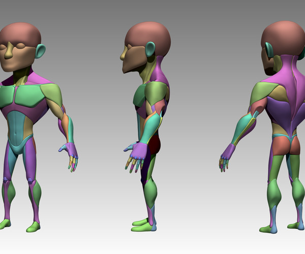 ArtStation - Stylized Male Anatomy Block out Basemesh | Resources