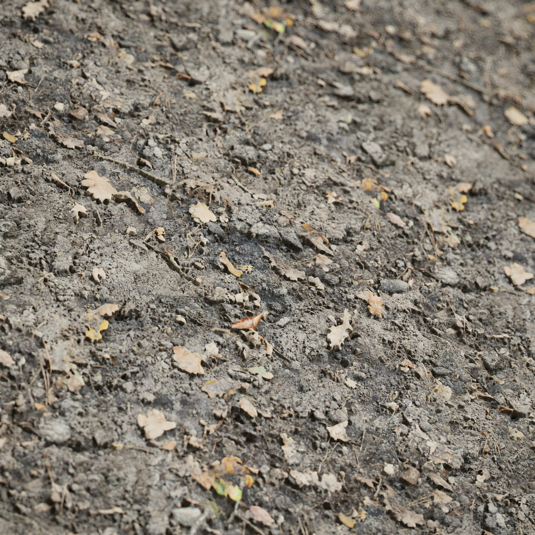 ArtStation - Churned Soil Scanned Material | Resources