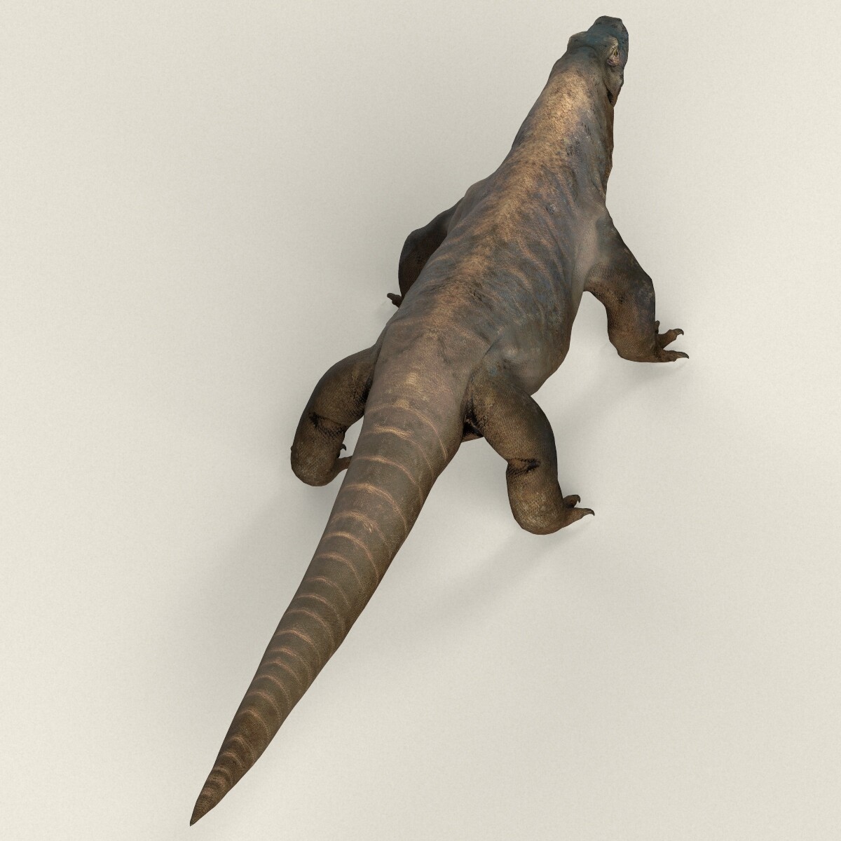 ArtStation - Komodo Dragon Low Poly PBR Ready 3D Model | Game Assets