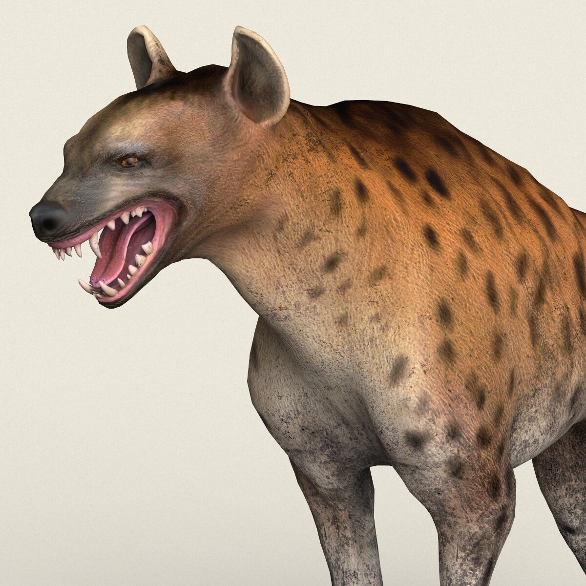 ArtStation - Hyena Low Poly PBR Ready 3D Model | Game Assets